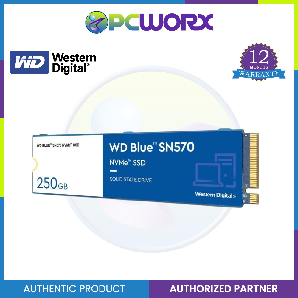 Western Digital WD SN570 250GB Blue M.2 NVMe PCIe Gen3 2280 SSD ...