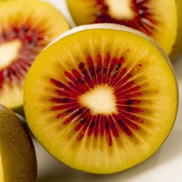 RARE FRUIT SEEDS COLLECTION - Heirloom Fruits Seeds Collection - Dragon ...