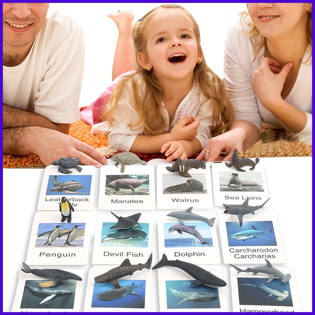 Animal Models Matching Cards Animal Picture Memory Card Marine Animal ...