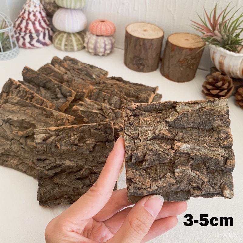 Natural Cork Bark for Tarantula Hideout Reptile Terrarium Climb Tree ...