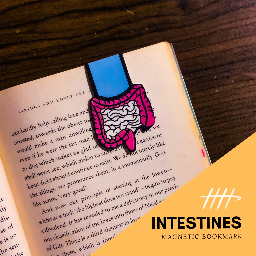 HUMAN ANATOMY ORGANS MAGNETIC BOOKMARK | Shopee Philippines