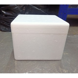 STYRO BOX / Z1 BOX / PORTABLE STYRO BOX | Shopee Philippines