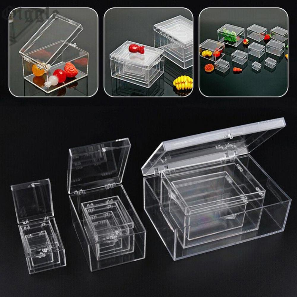 ⭐ Hot Sale ⭐Clear Plastic Box-Rectangular Insect Specimen Display ...