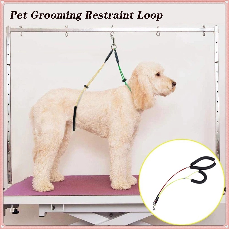 Pet Grooming Restraint Loop Standing Training Pet Care Dog Cat Bath ...