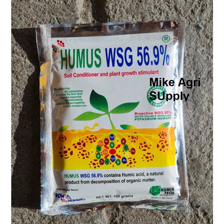 Humus WSG 100grams (MADE IN GERMANY) | Shopee Philippines