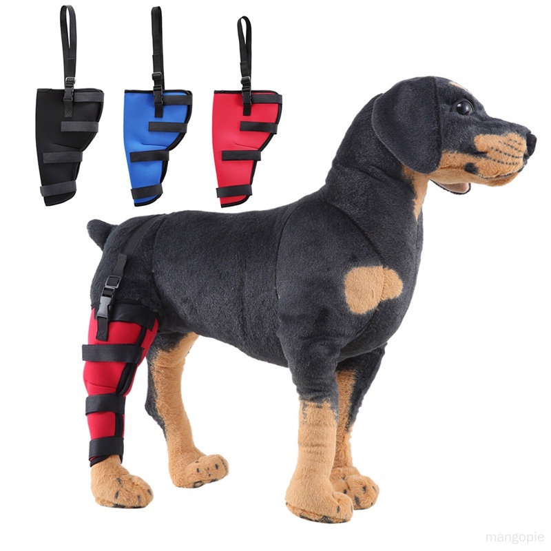 Dog Right Rear Leg Brace Canine Hind Hock Wraps With Safety Reflective ...