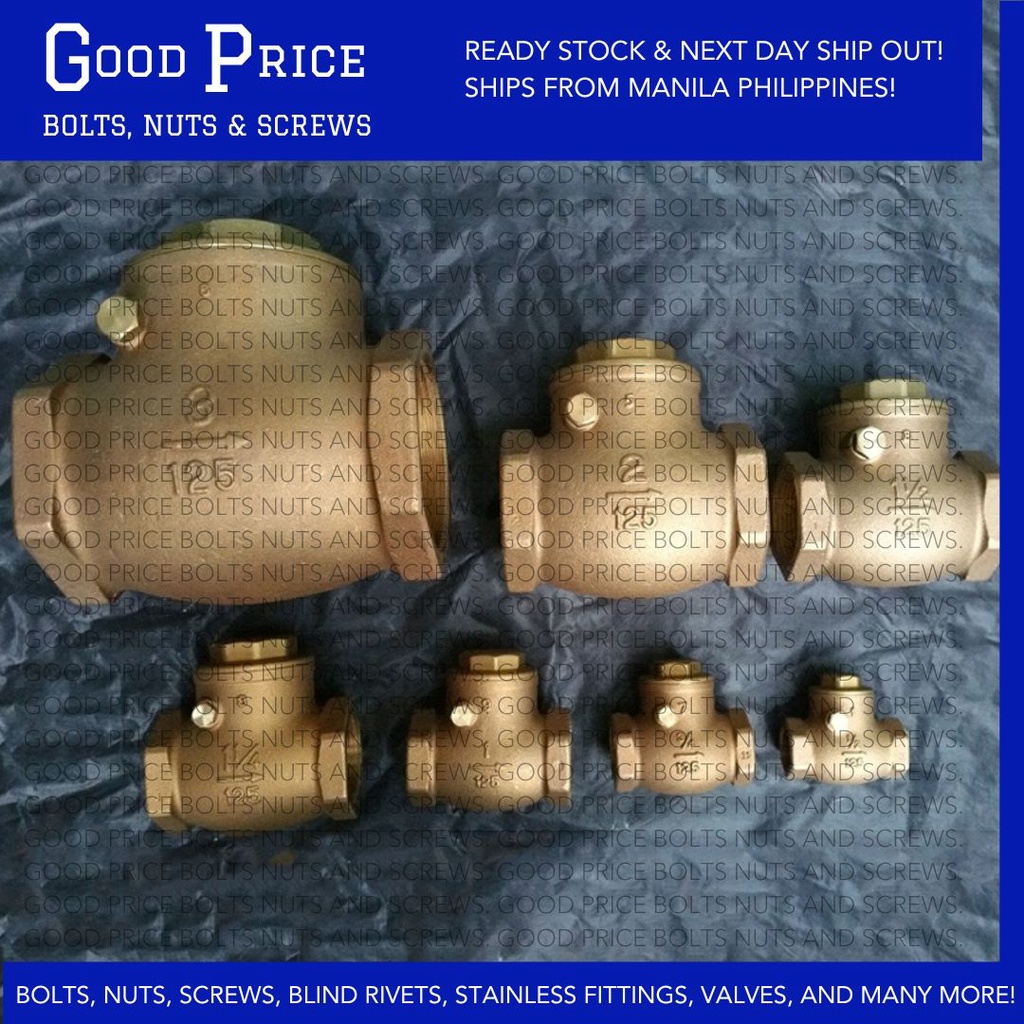 Kitz Japan Brass Swing Check Valve AKR 125 psi | Shopee Philippines