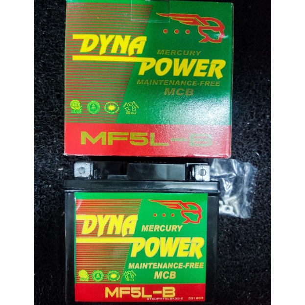 DYNA POWER 1 YEAR WARRANTY | Shopee Philippines