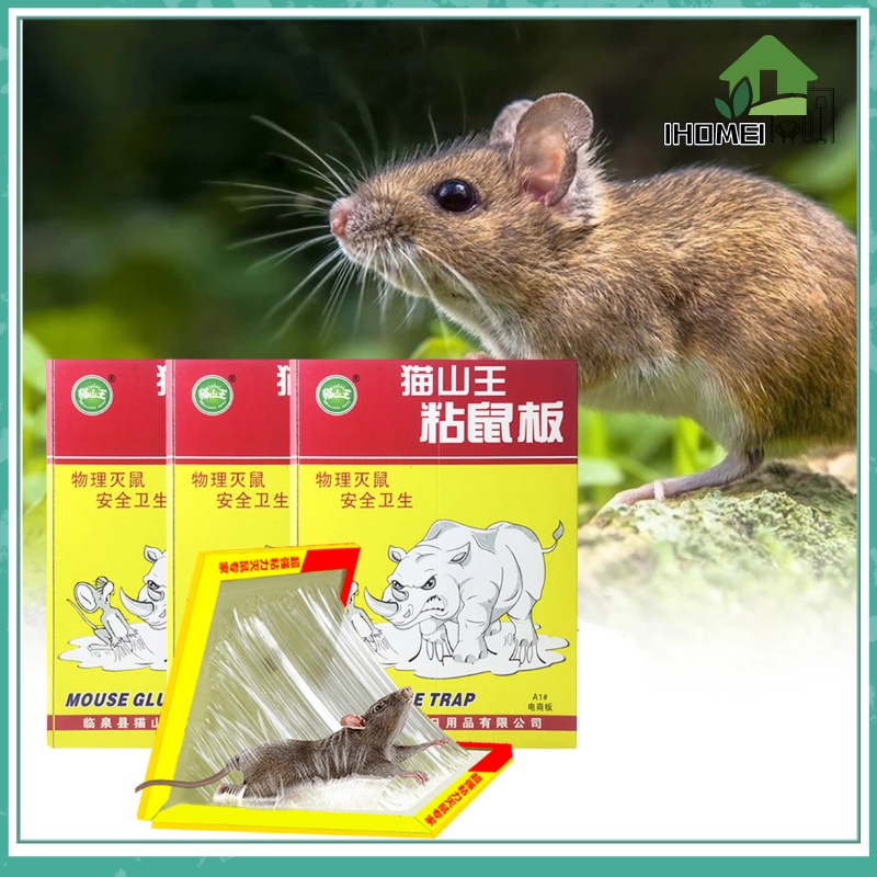 Sticky Mouse Trap Powerful Rat Glue Trap Adhesive Mouse Trap Glue Board ...