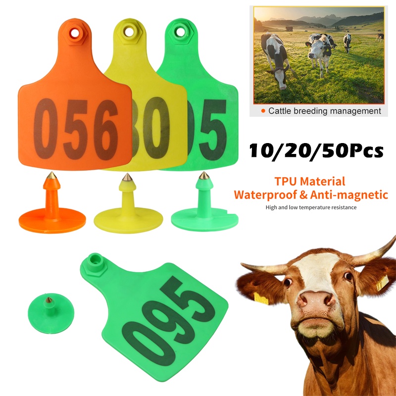 10Pcs Cow Ear Tags 10x7.5cm TPU Big Cattle Identification Ear Tag ...