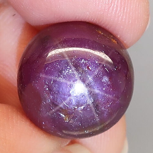 15.88 Carat Natural 6 Rays STAR RUBY Purplish Red Loose Round Cab 13 ...