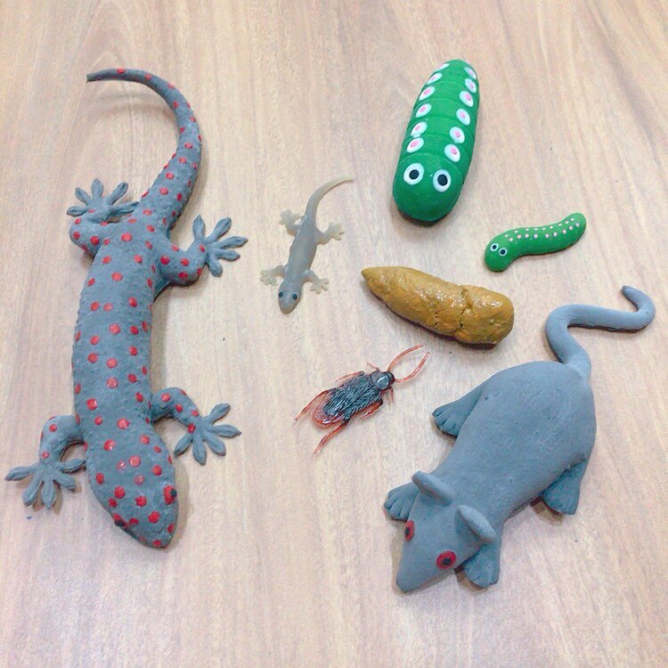 Fake Lizards Geckos Rats Roachs Unji Shit Worms Pretend Toys Cat Real ...