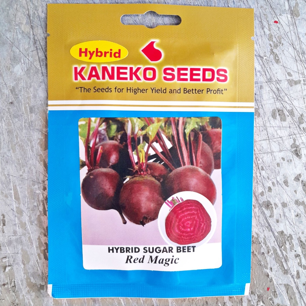 RED MAGIC F1 HYBRID SUGAR BEET SEEDS (5 GRAMS APPROX 435 SEEDS) by ...