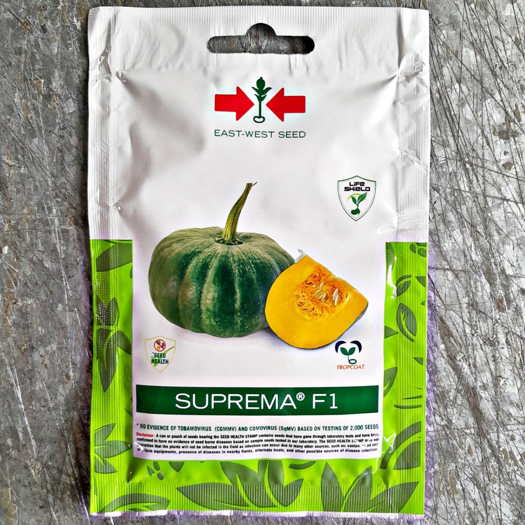SUPREMA F1 HYBRID SQUASH / KALABASA (120 SEEDS) ASENSO PACK by EAST ...