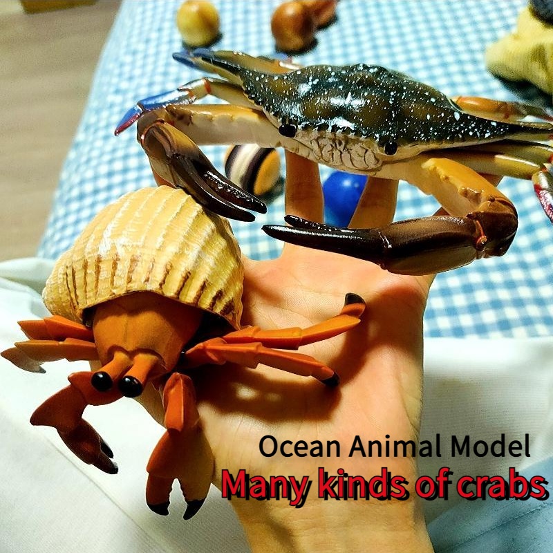 Marine Animal Model King Crab Model Spider Crab Desktop Decoration ...