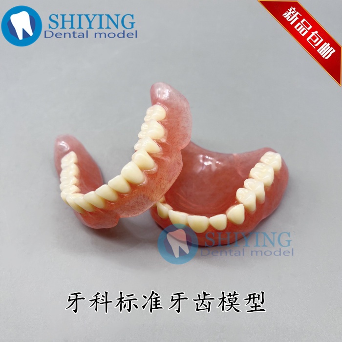 【COD】Dental Oral Teaching Full Activity Denture Model Invisible ...
