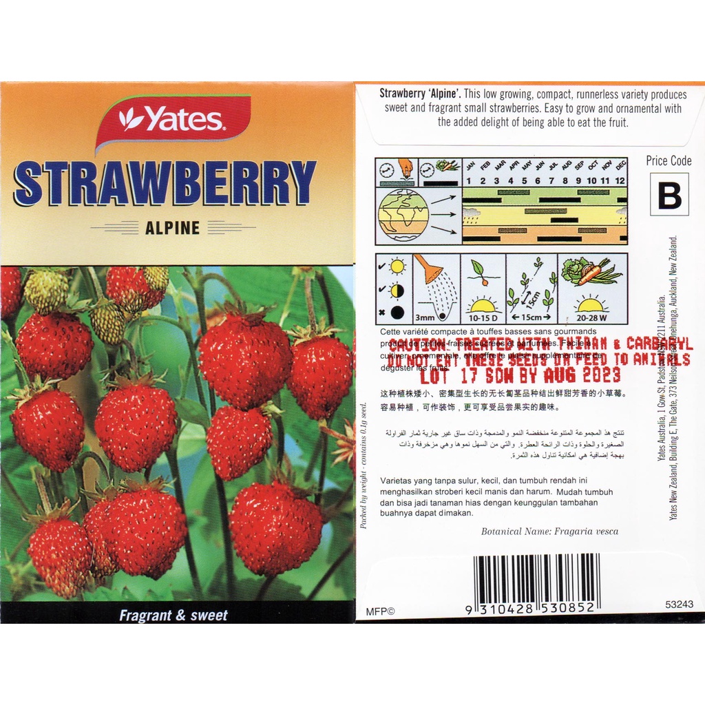 YATES Strawberry Alpine Seeds KECORP_S1 | Shopee Philippines