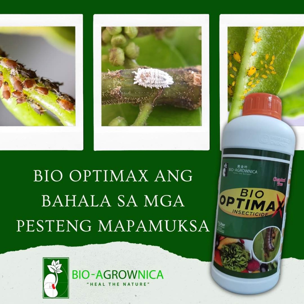 Bio optimax Insecticide by Bio- agrownica 1Liter and 500mL | Shopee ...