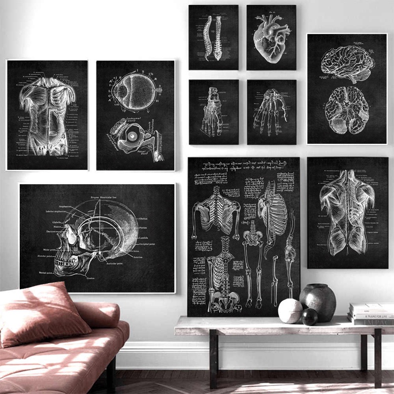 Human Anatomy Wall Decorations Skeleton Posters Medical Education ...