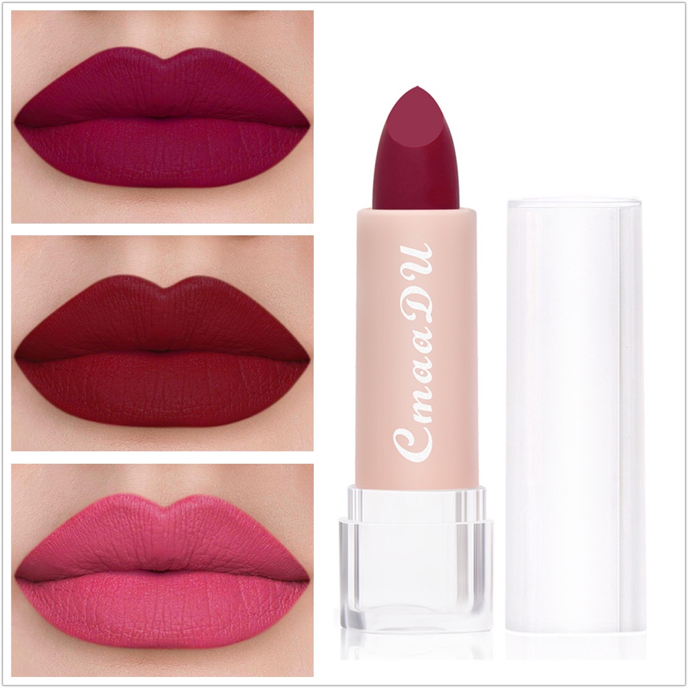 Sexy Velvet Matte Lipsticks Waterproof Long Lasting Sexy Red Lip Stick