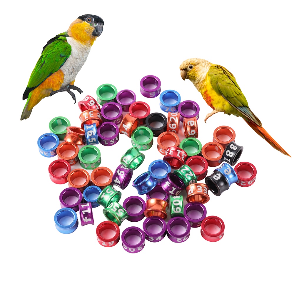 100 Pcs Bird Legband Ring 4mm/4.7mm/5mm/6mm/7mm African love birds ...