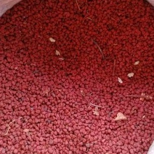 Atsuete Seeds (PURE Annatto Seeds) Available 1kilo/500g/250g. | Shopee ...