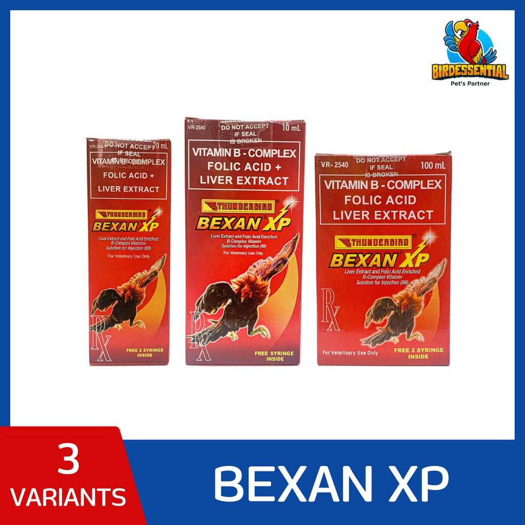 Bexan XP Thunderbird | Shopee Philippines