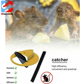 Mouse Bucket Trap cage perfect trap for big rats very suitable for ...