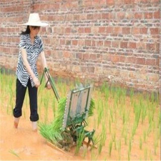Rice transplanter hand-operated rice new two-row rice planter small ...