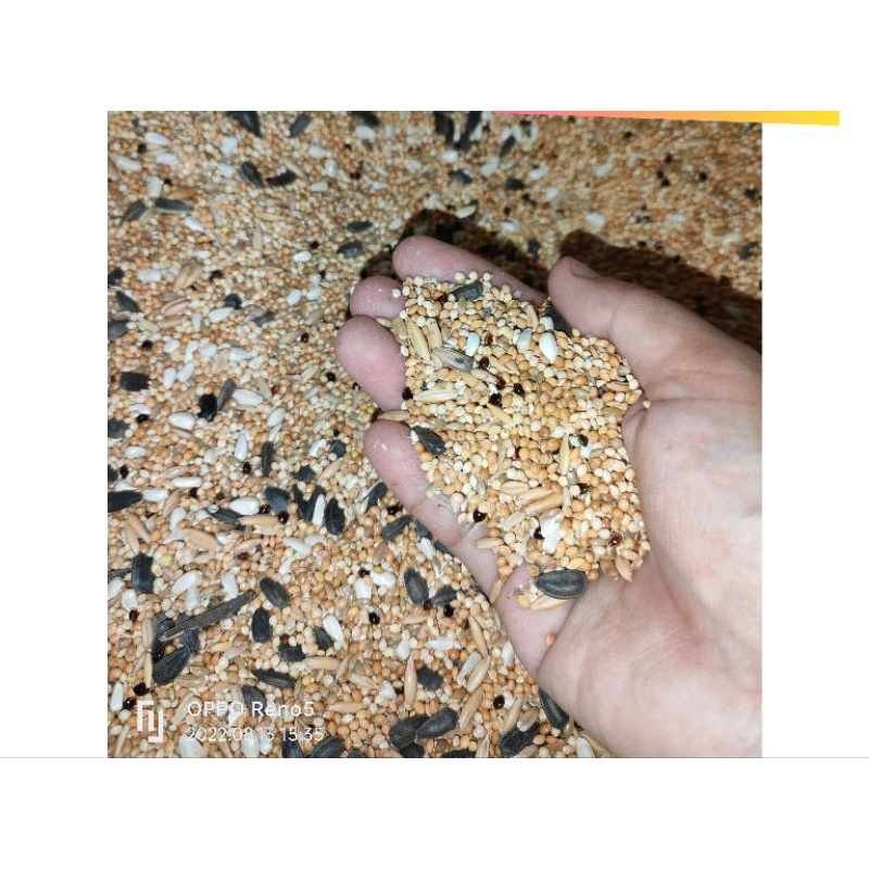 African Mix Bird Seed 1KILO | Shopee Philippines