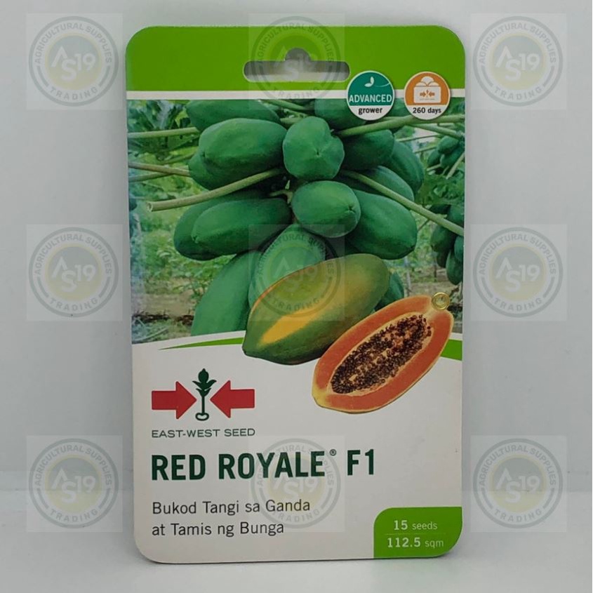 Red Royale F1 15 Seeds (East-West Seed) | Shopee Philippines