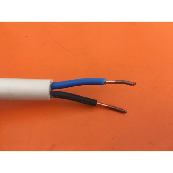 Nym ETERNA Cable 2x2.5/ETERNA 2x2.5/meter Cable/Wire Cable | Shopee ...