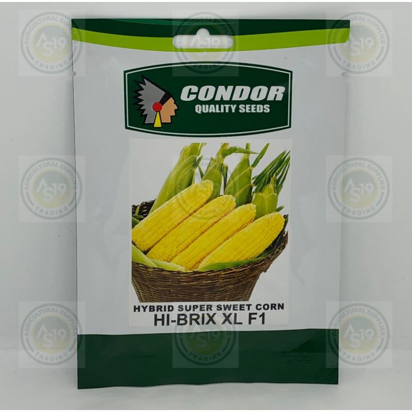 Hybrid Super Sweet Corn (10 grams) - Condor Quality Seeds | Shopee ...