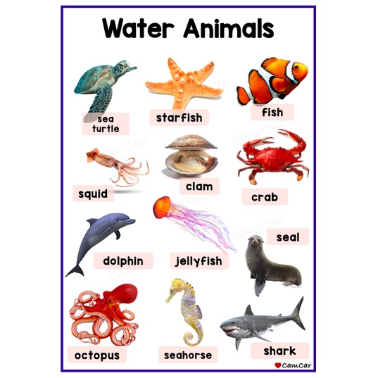 BIG SALE!!! A4 Wall Chart Educational Laminated Alphabet, Shapes ...