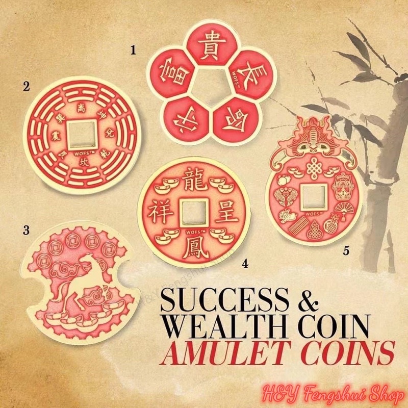 2020 Fengshui SUCCESS AND WEALTH COIN AMULET COINS (SET OF 5 COINS ...