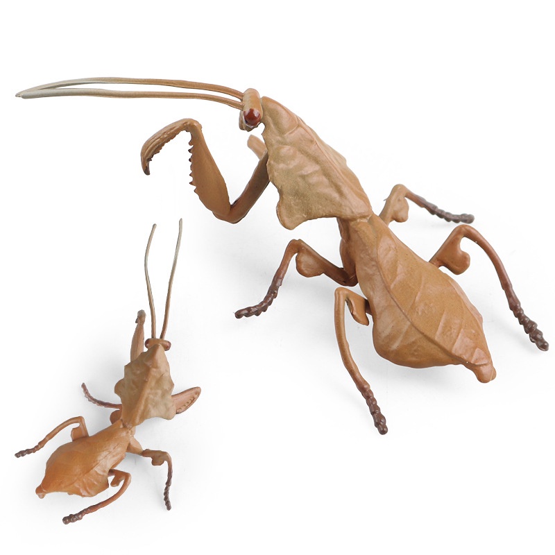 insect mantis spider animal model kids educational toys decoration prop ...