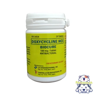 biocure - Best Prices and Online Promos - Jun 2024 | Shopee Philippines