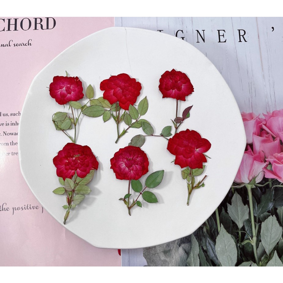 Pressed dried flowers for resin crafts, dried flowers for resin DIY ...