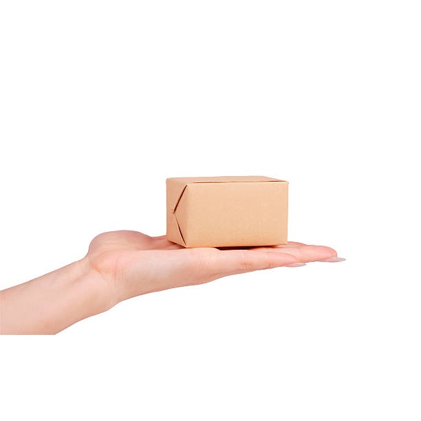 Small Box For Packaging pao | Shopee Philippines