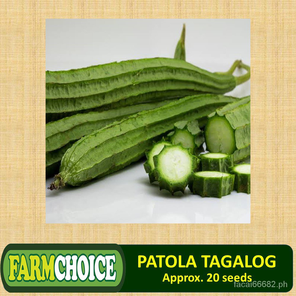 Patola Tagalog Seeds (20)-Luffa Seeds/Shoes/Plants/Gems/Flowers/Grass ...