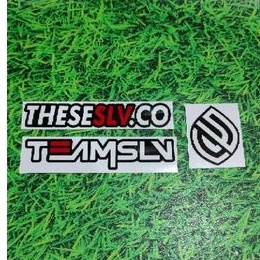 Teamslv pack stickers, viral motorcycle stickers | Shopee Philippines