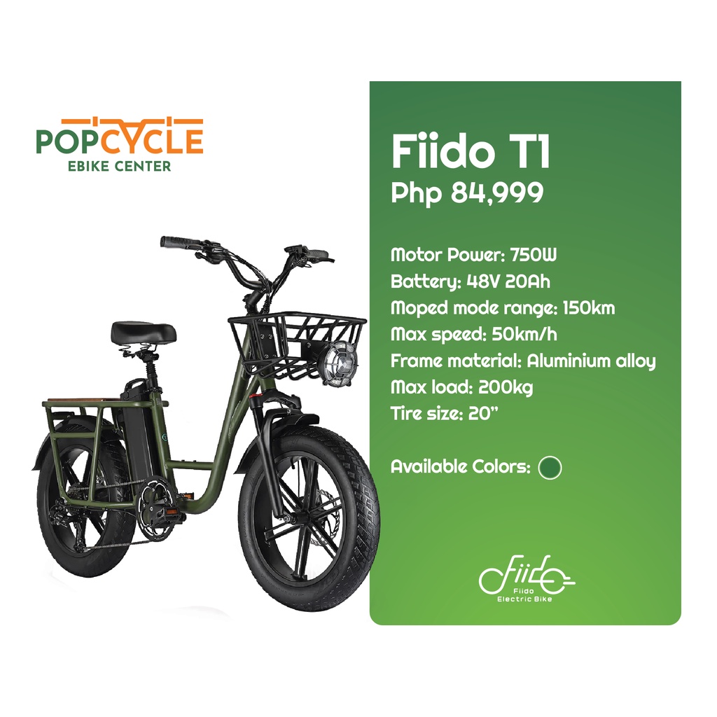 Fiido T1 Pro Utility Cargo Electric Bicycle | Shopee Philippines