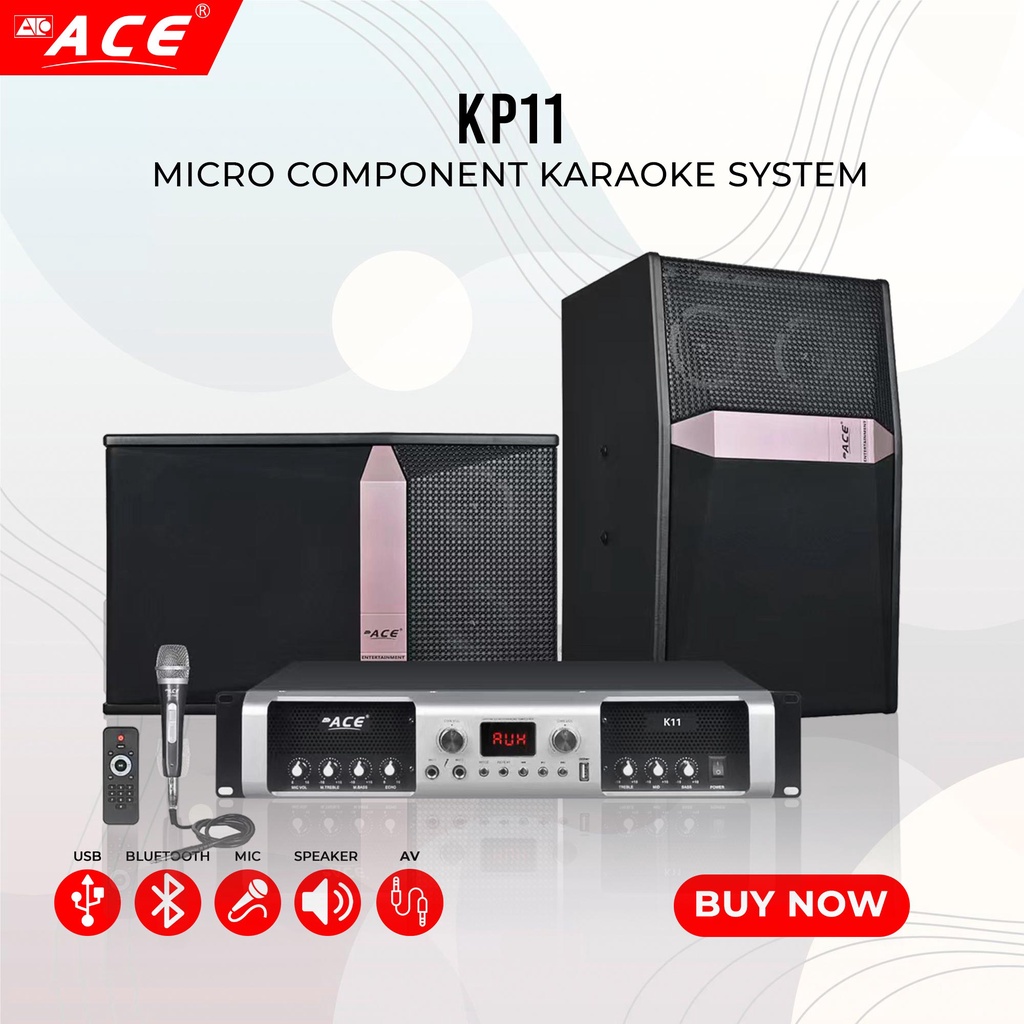 ACE KP-11 Micro Component Karaoke System Set | Shopee Philippines