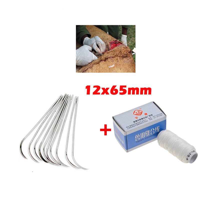 10Pcs Veterinary Suture Needles with Thread Animal Surgical Needles ...