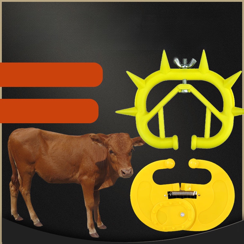 Beef Nose Pungent Calf Weaner Weaning Extra Thick Plastic Ring Breeding ...