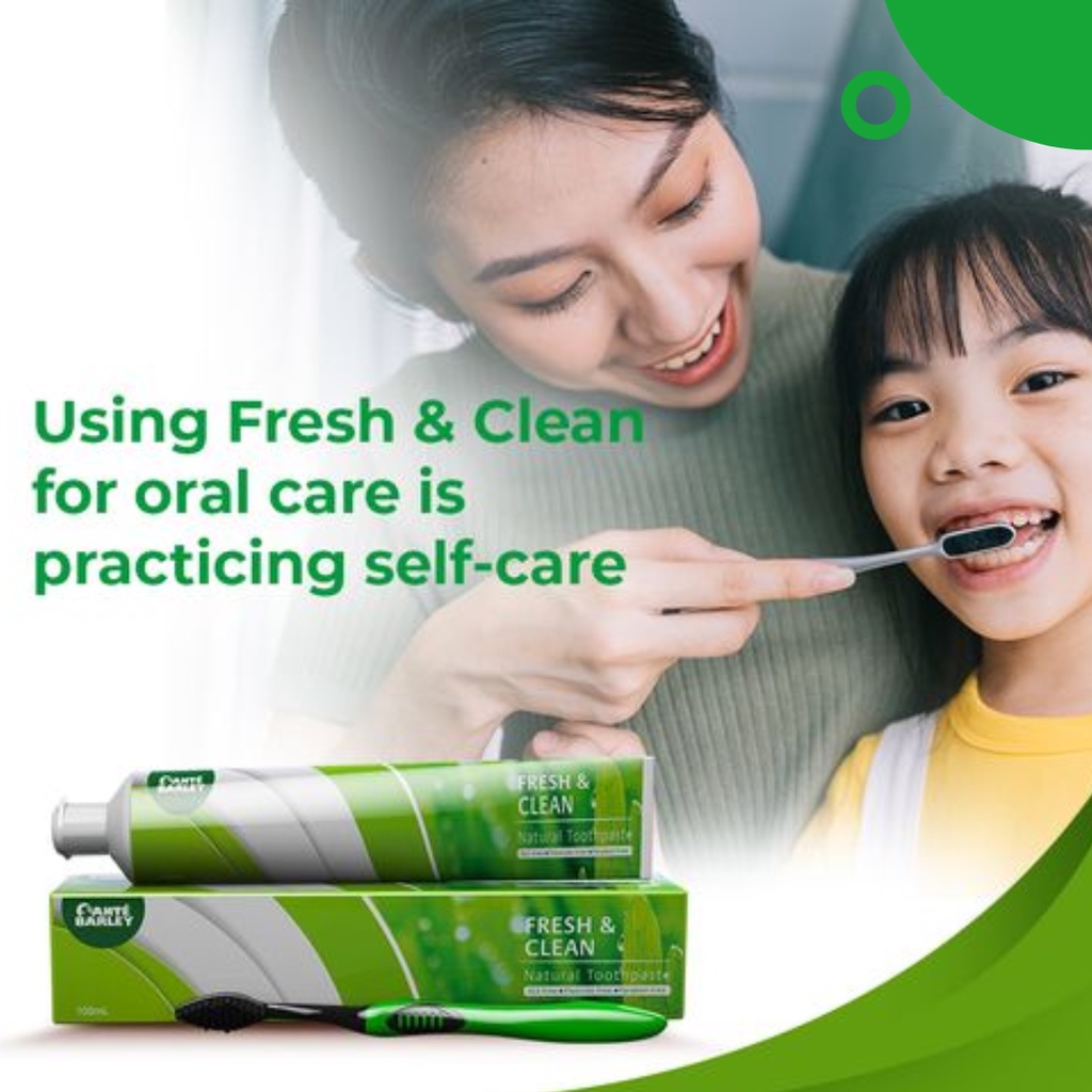 S-A-N-T-E FRESH & CLEAN TOOTHPASTE 100 ML NANO CHARCOAL TOOTHBRUSH ...