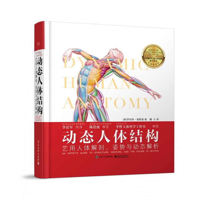 Dynamic Human Body Structure: Artistic Anatomy, Posture And Analysis ...