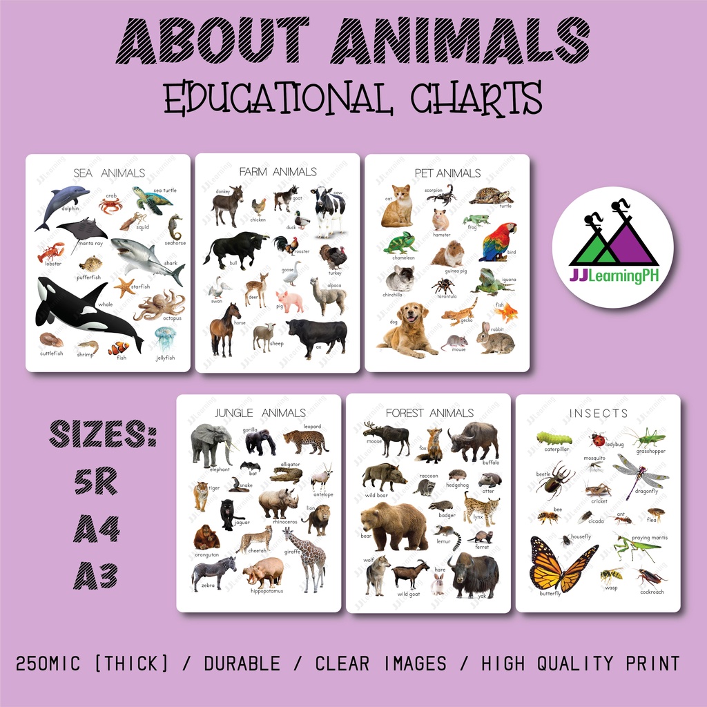 ABOUT ANIMALS (Insects Sea Jungle Forest Pet Farm Animals) Minimalist ...