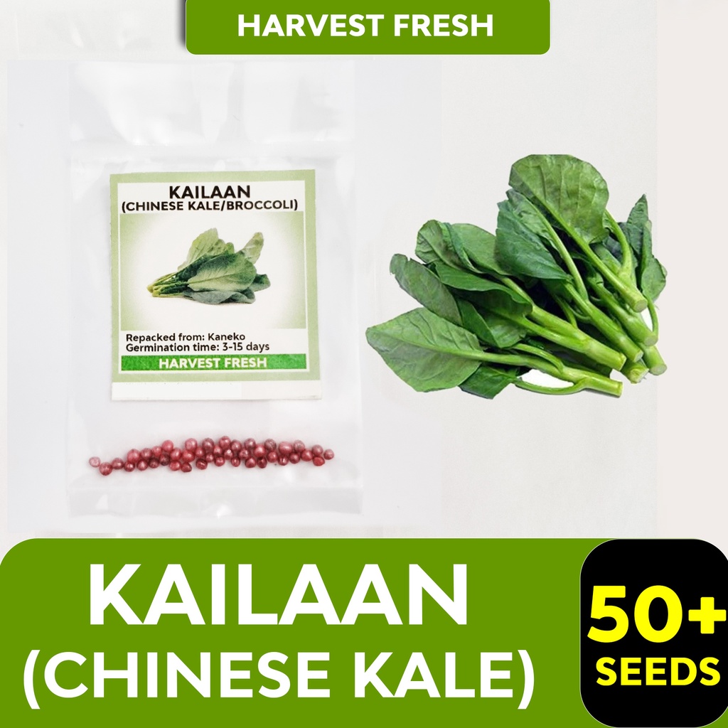 Vegetables Seeds - Cabbage Cauliflower Broccoli Kale Spinach Pakchoi ...