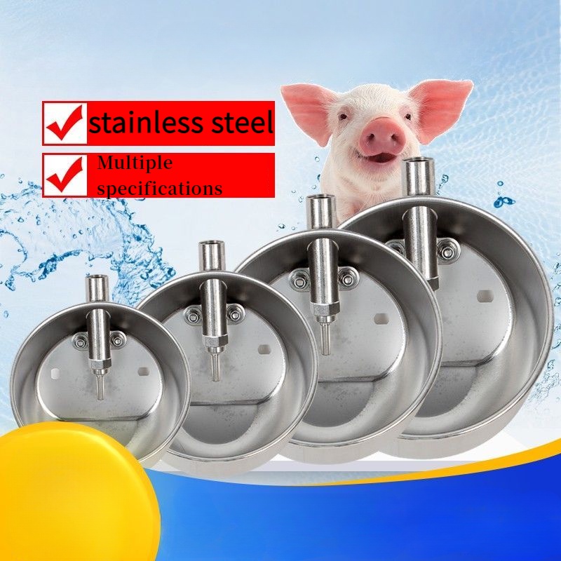 Pig Farm Piglets With Automatic Drinking Fountain Sow Drinking Bowl ...